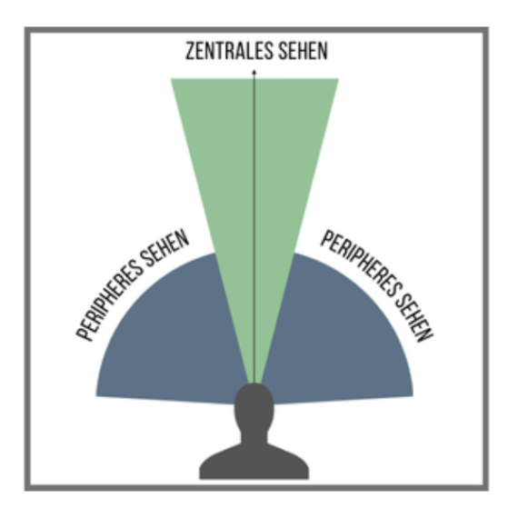 Peripheres Sehen - Online Augentraining